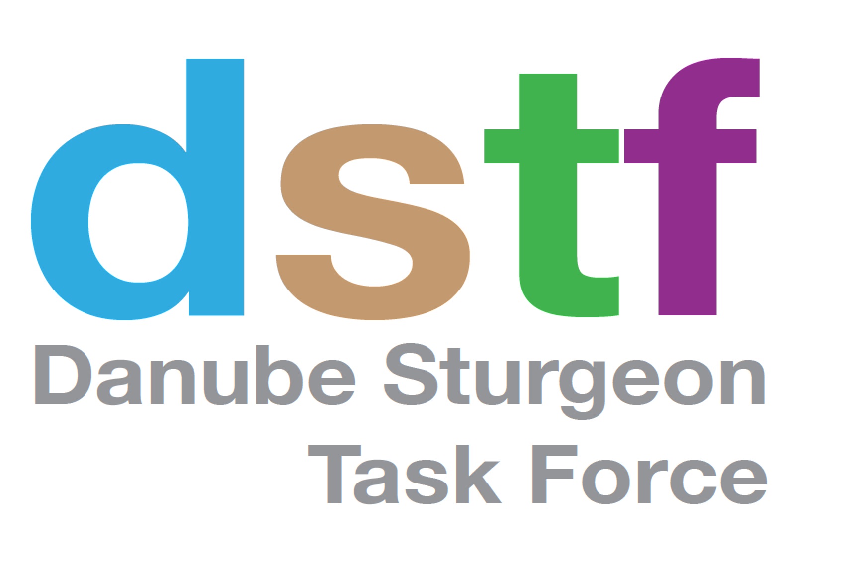 DSTF Position Paper WSCS
